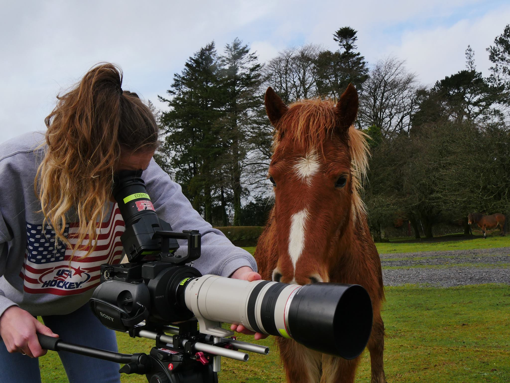 Kathy Stringer | Zoologist and Filmmaker