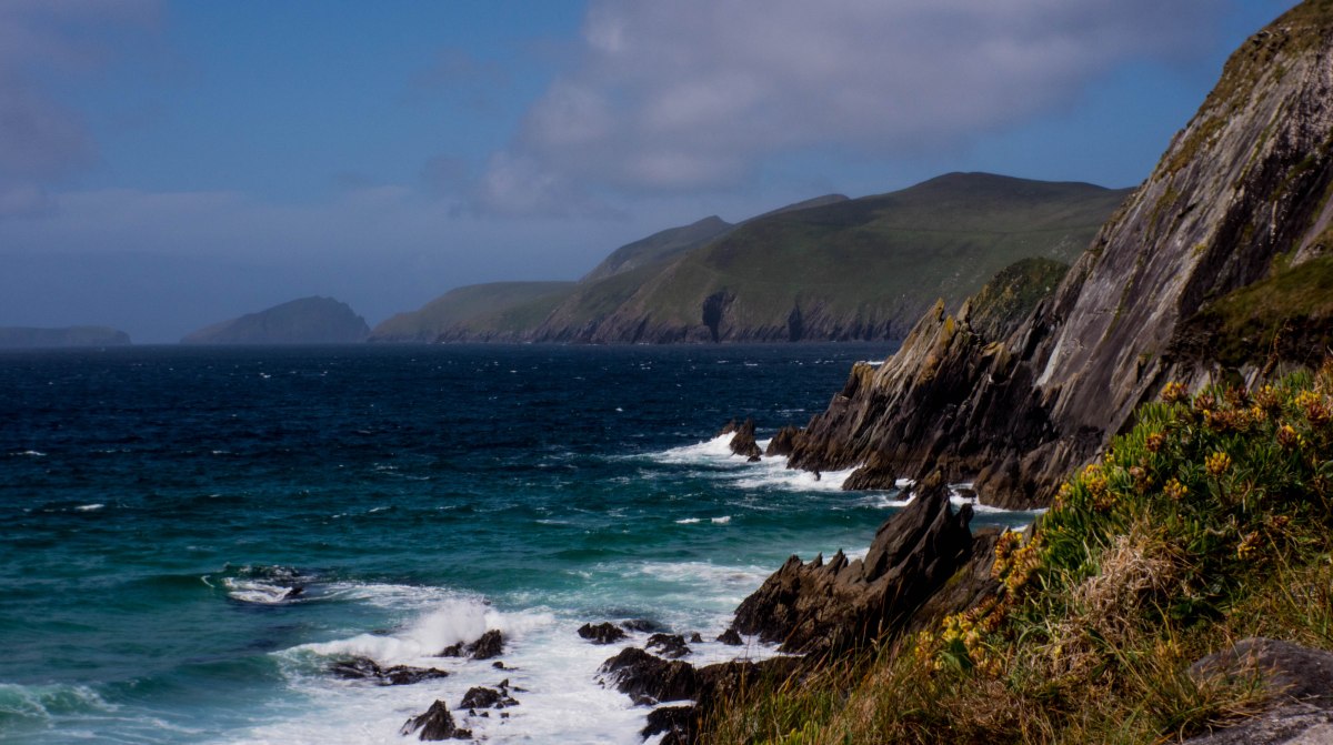 Emerald Isle Exploration | Kathy Stringer